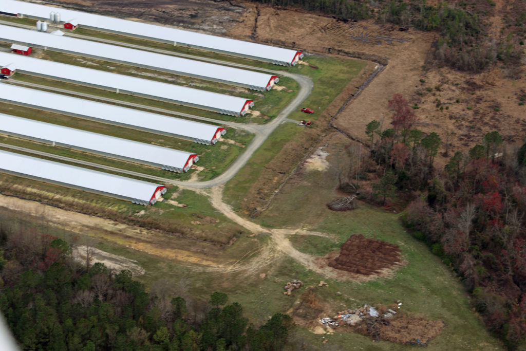 CAFO – Coastal Carolina Riverwatch