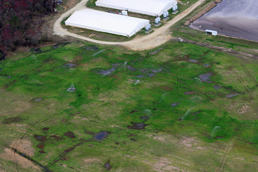 CAFO – Coastal Carolina Riverwatch