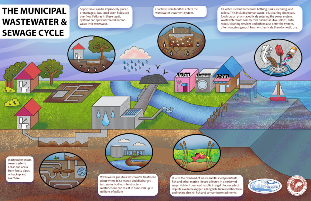Municipal Wastewater and Sewage – Coastal Carolina Riverwatch