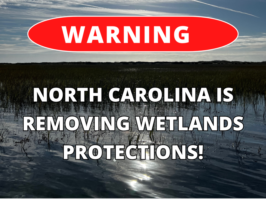 North Carolina is Removing Wetlands Protections – Coastal Carolina ...