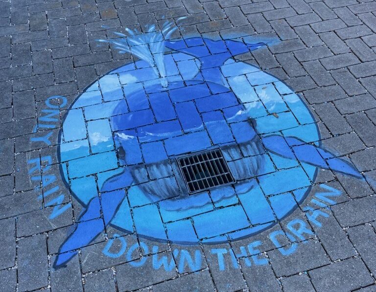 Adopt A Drain – Coastal Carolina Riverwatch