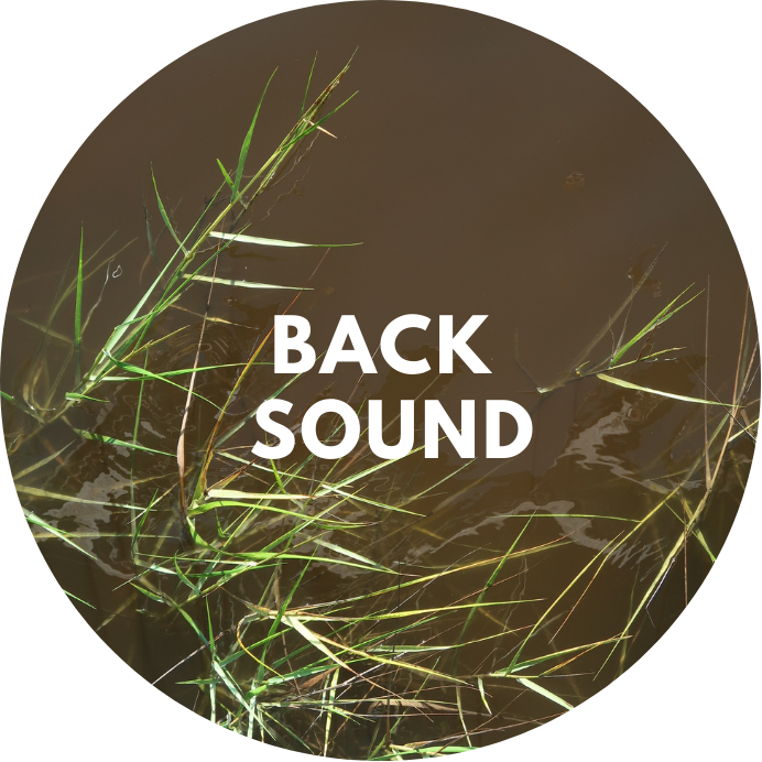 Sounds – Coastal Carolina Riverwatch