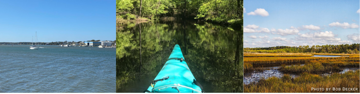 Rivers – Coastal Carolina Riverwatch